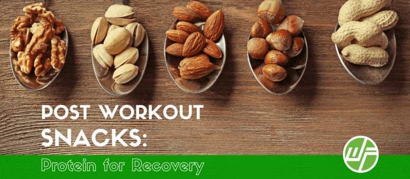 Post Workout Snacks: Protein for Recovery - Wellness + Wisdom