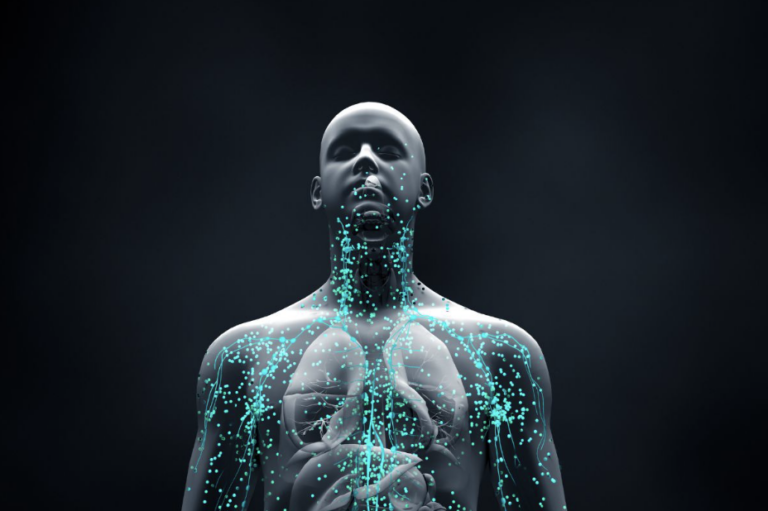 How Does the Immune System Work With the Circulatory System? - Wellness ...